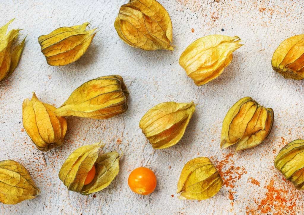 Le physalis, petit fruit magique et savoureux