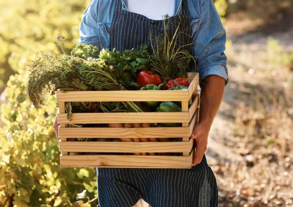 Manger durable, en quoi ça consiste et comment faire